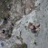 Climbing area Kamena Vrata, Buzet Croatia | Climb IstriaClimb Istria