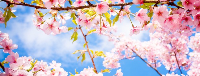 Spring is in the air | Climb Istria